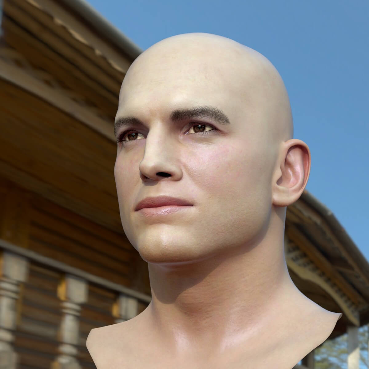 Ashton Kutcher Head - 3D Model by vefilanna