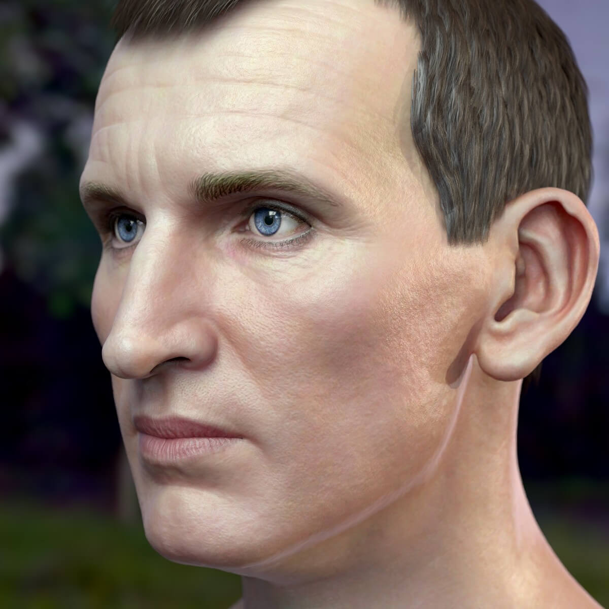 Christopher Eccleston Head - 3D Model by vefilanna