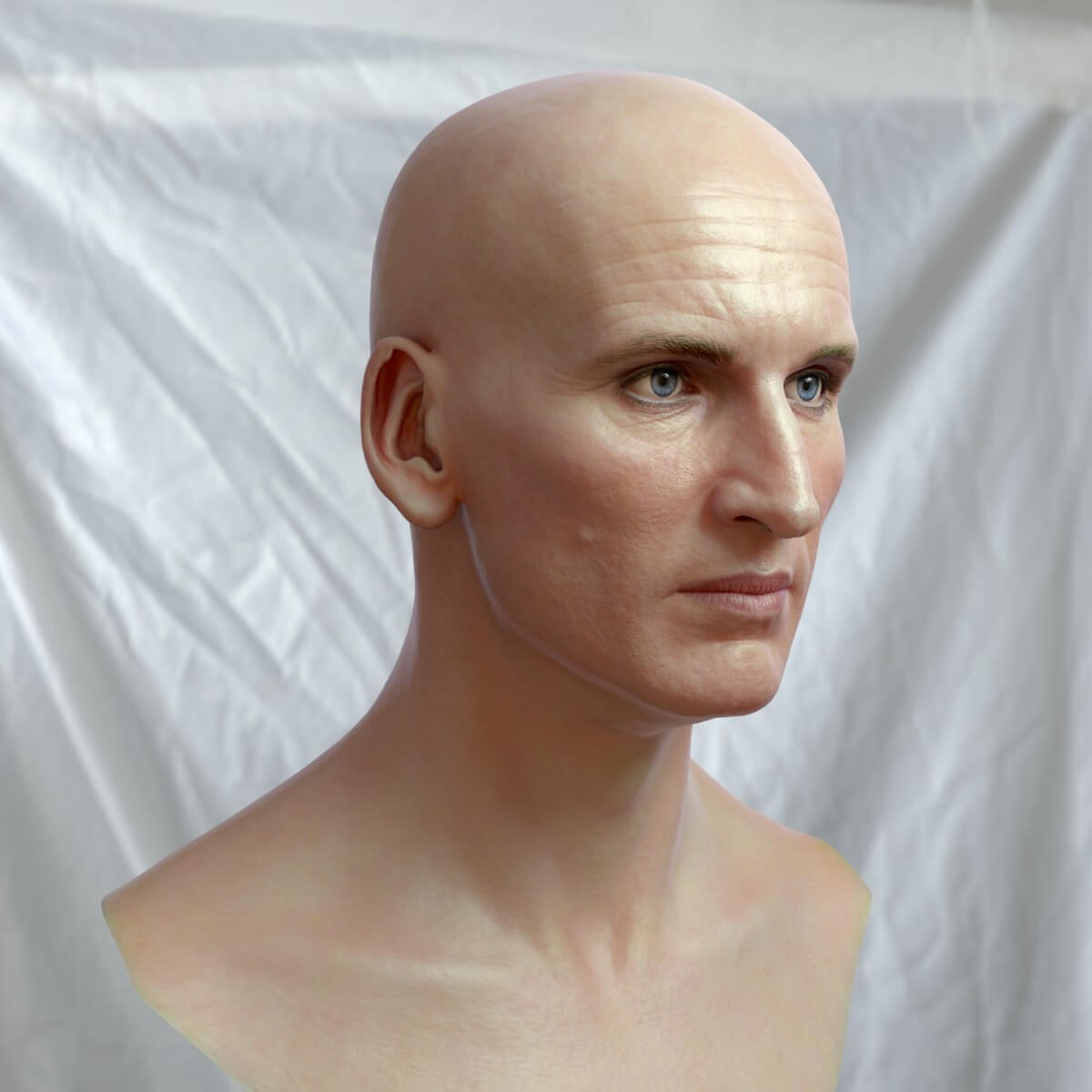 3D Model Christopher Eccleston Head by vefilanna