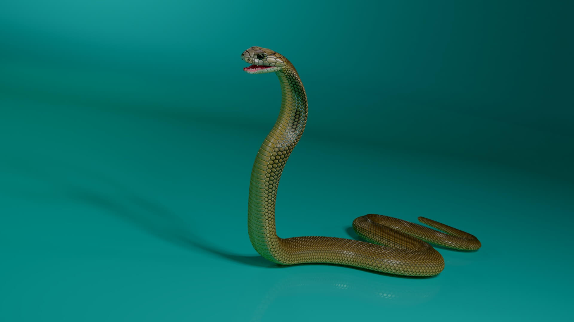 Cobra Snake - 3D Model by vefilanna