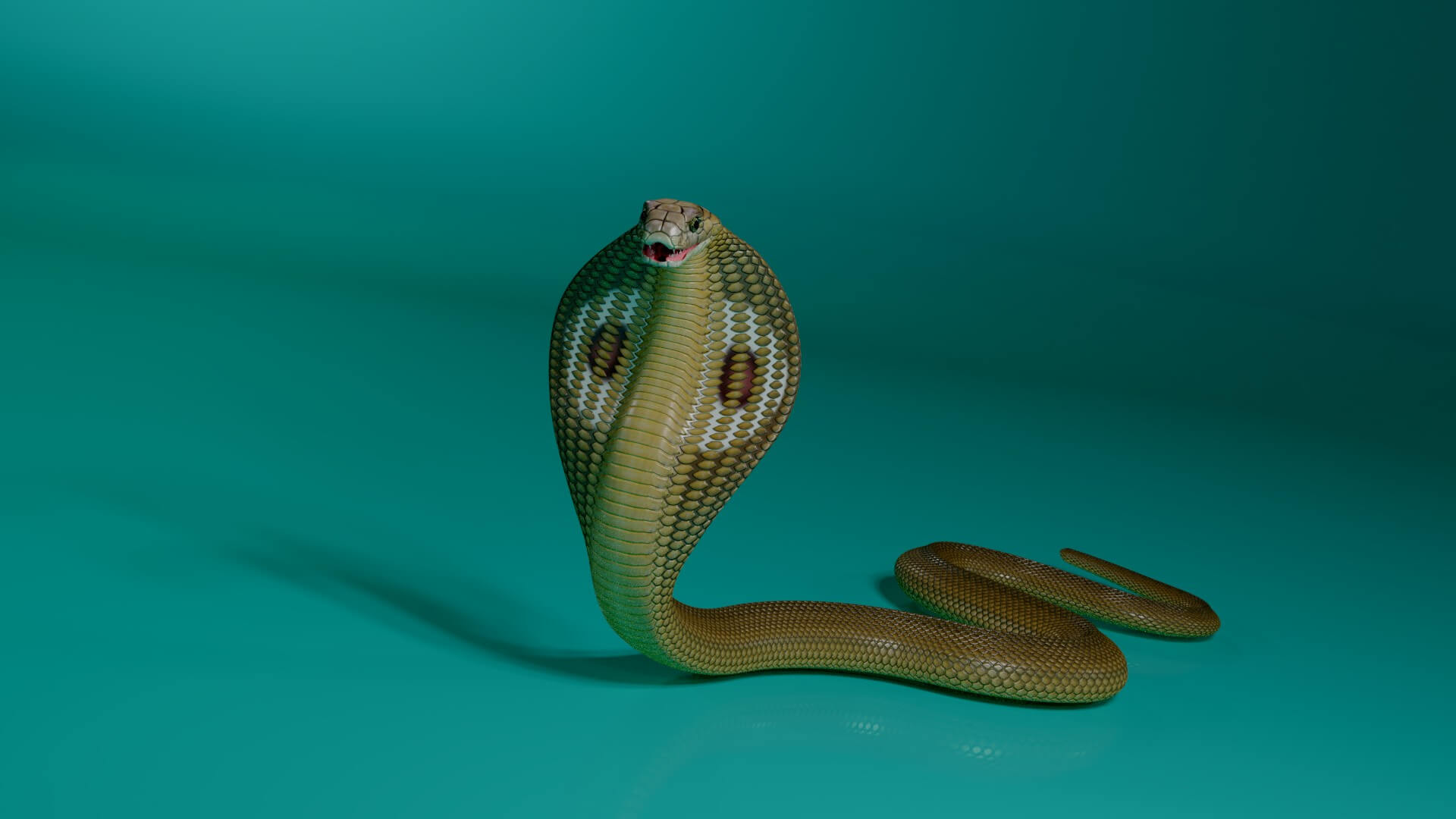 Cobra Snake - 3D Model by vefilanna