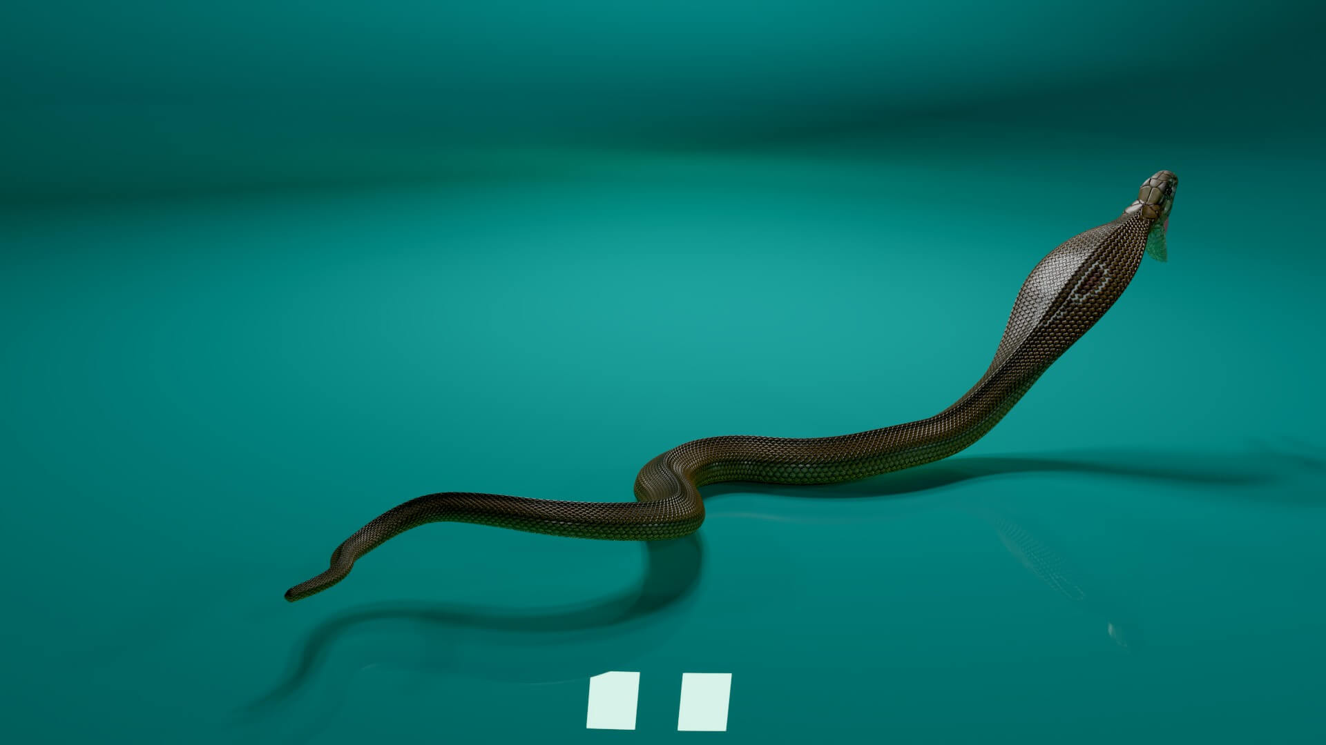Cobra Snake - 3D Model by vefilanna