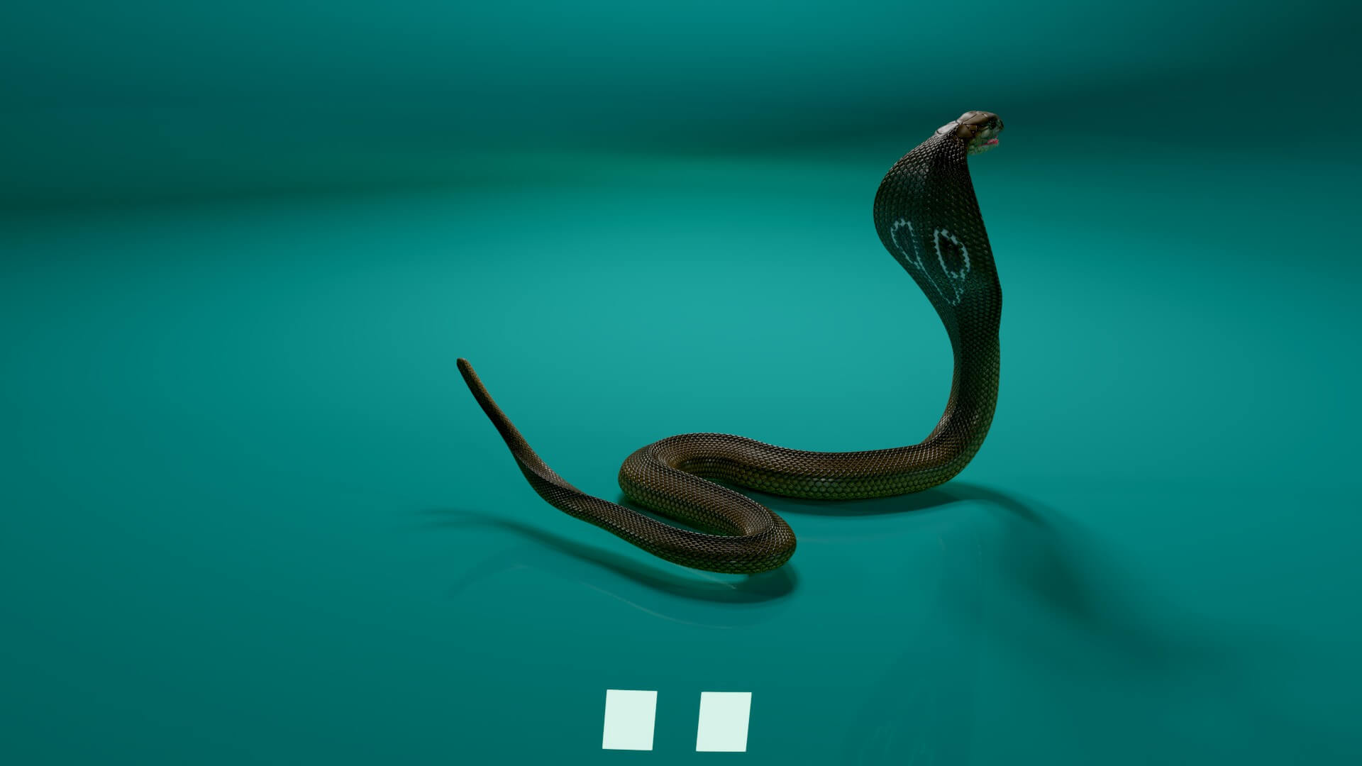 Cobra Snake - 3D Model by vefilanna