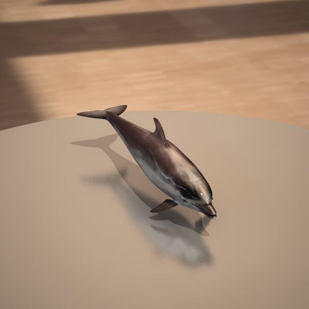 3D Model Dolphin by vefilanna