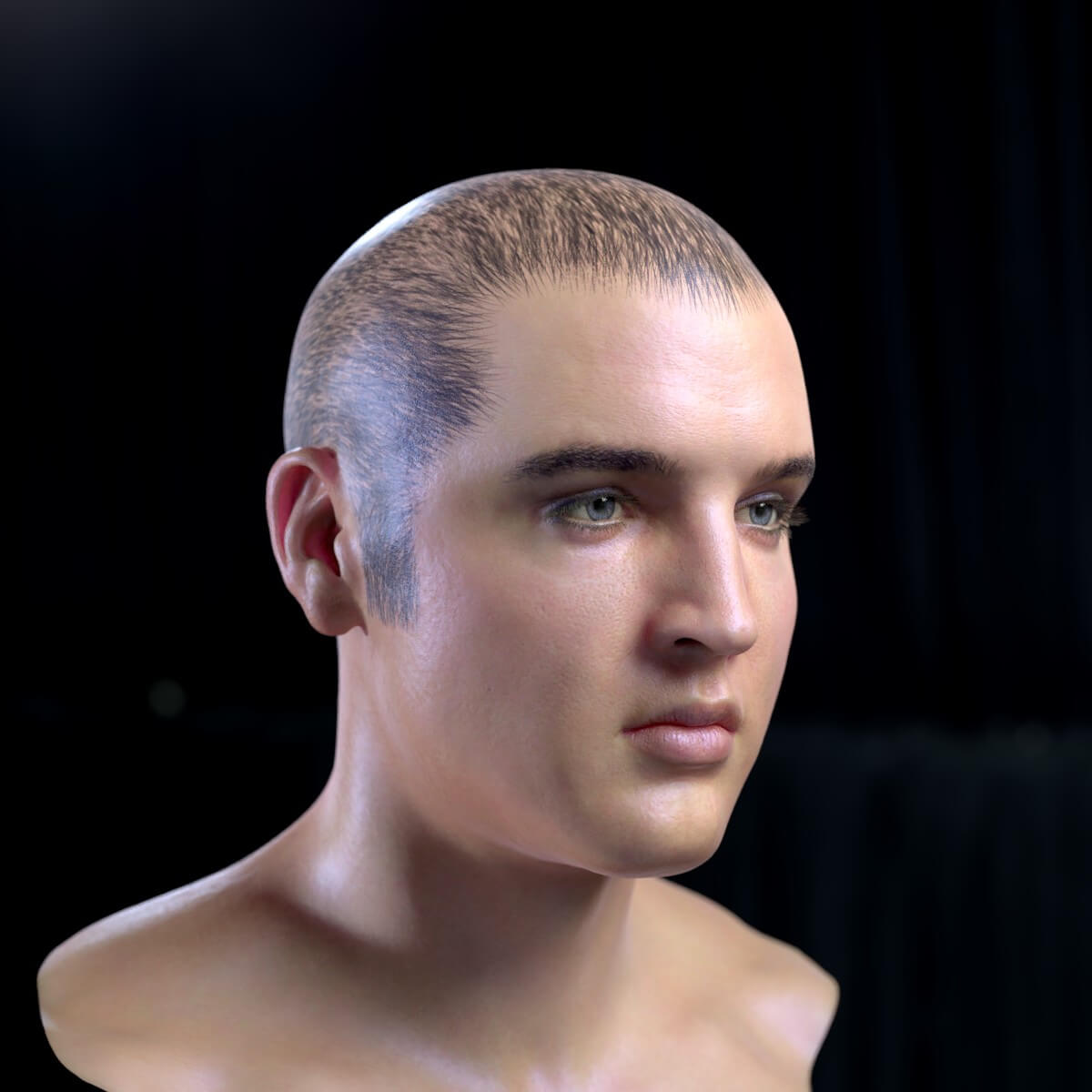 3D Model Elvis Presley Head by vefilanna