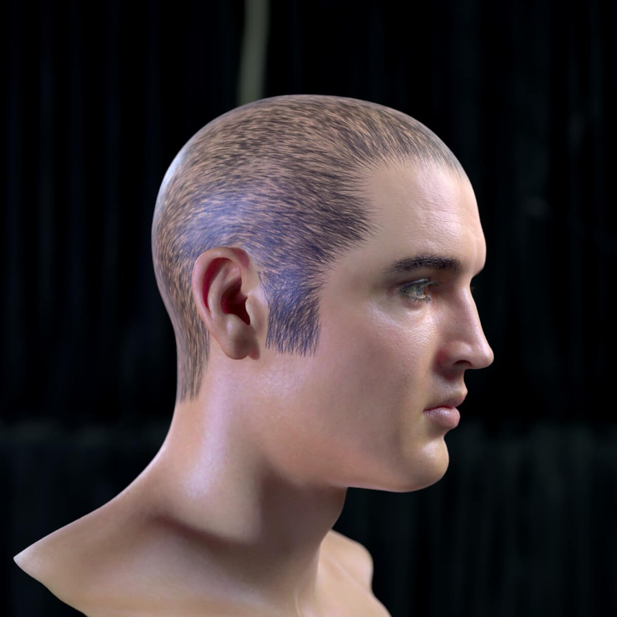 Elvis Presley Head - 3D Model by vefilanna