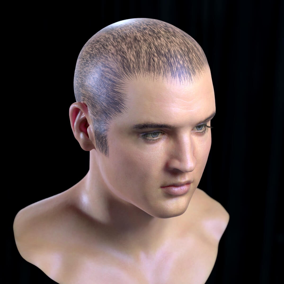 3D Model Elvis Presley Head by vefilanna