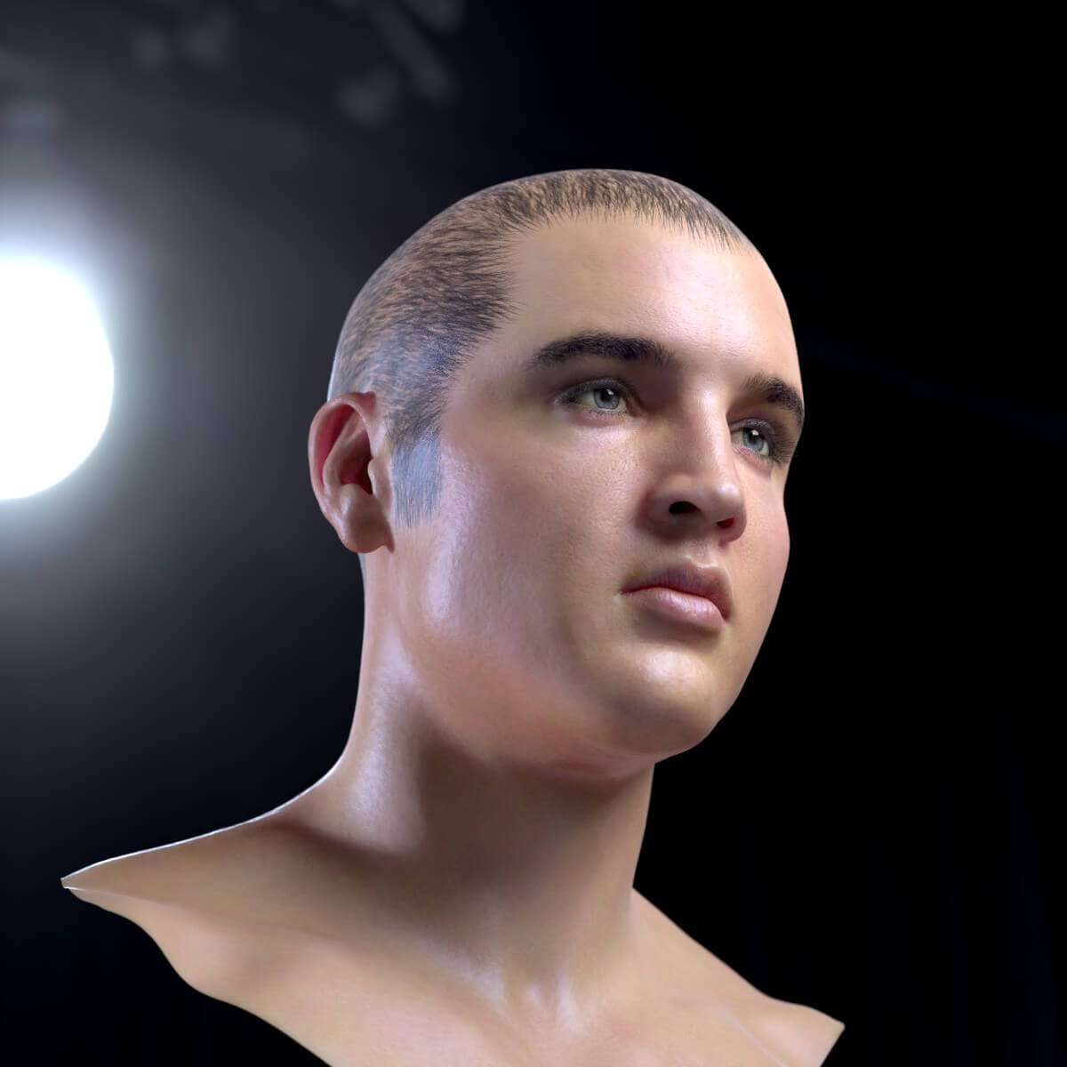 3D Model Elvis Presley Head by vefilanna