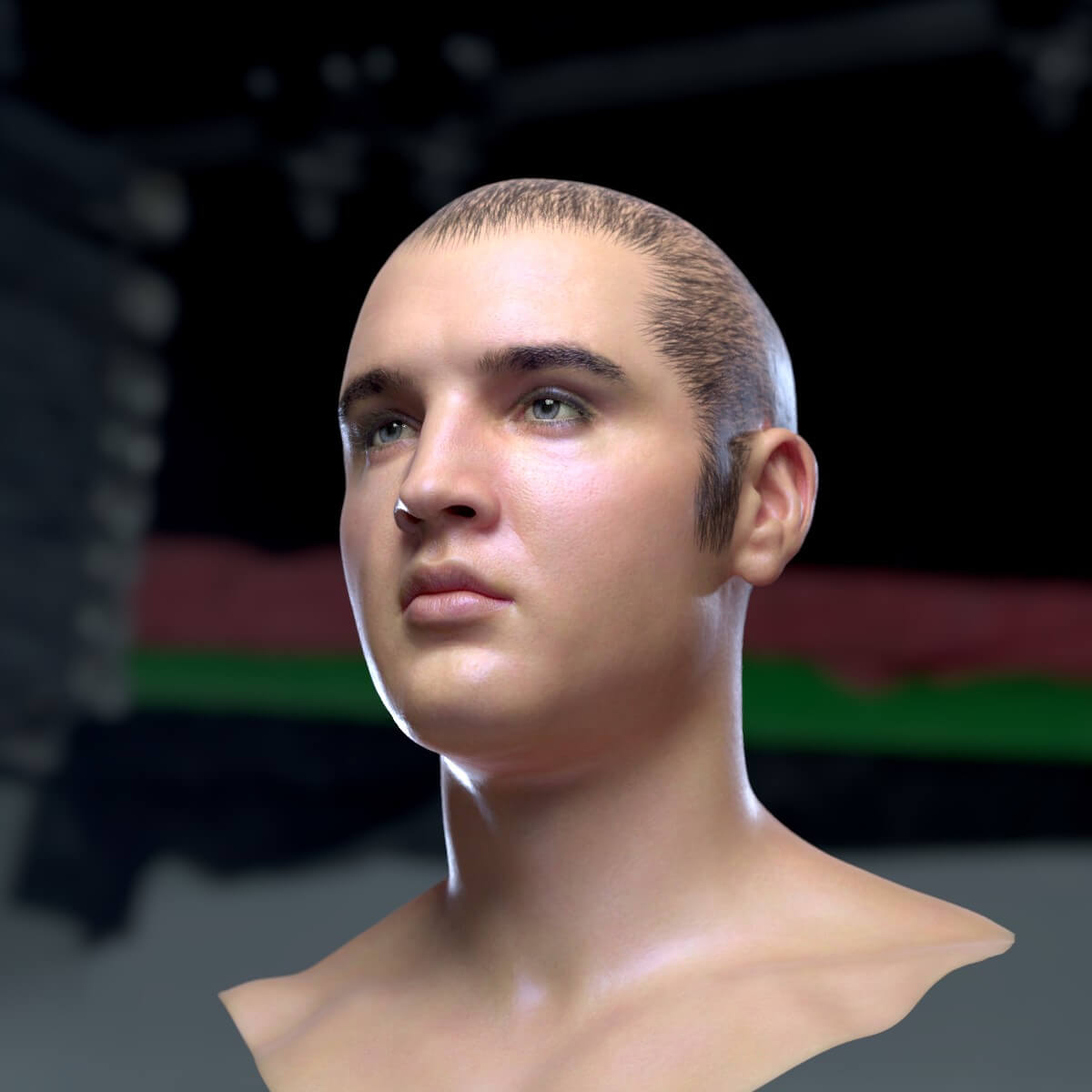 Elvis Presley Head - 3D Model by vefilanna