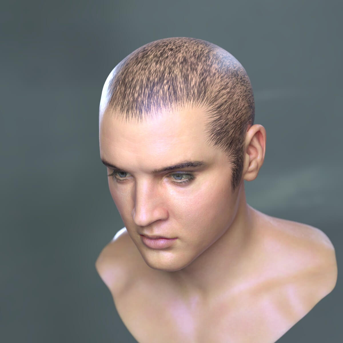 3D Model Elvis Presley Head by vefilanna