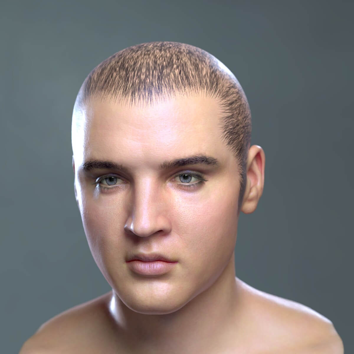 3D Model Elvis Presley Head by vefilanna