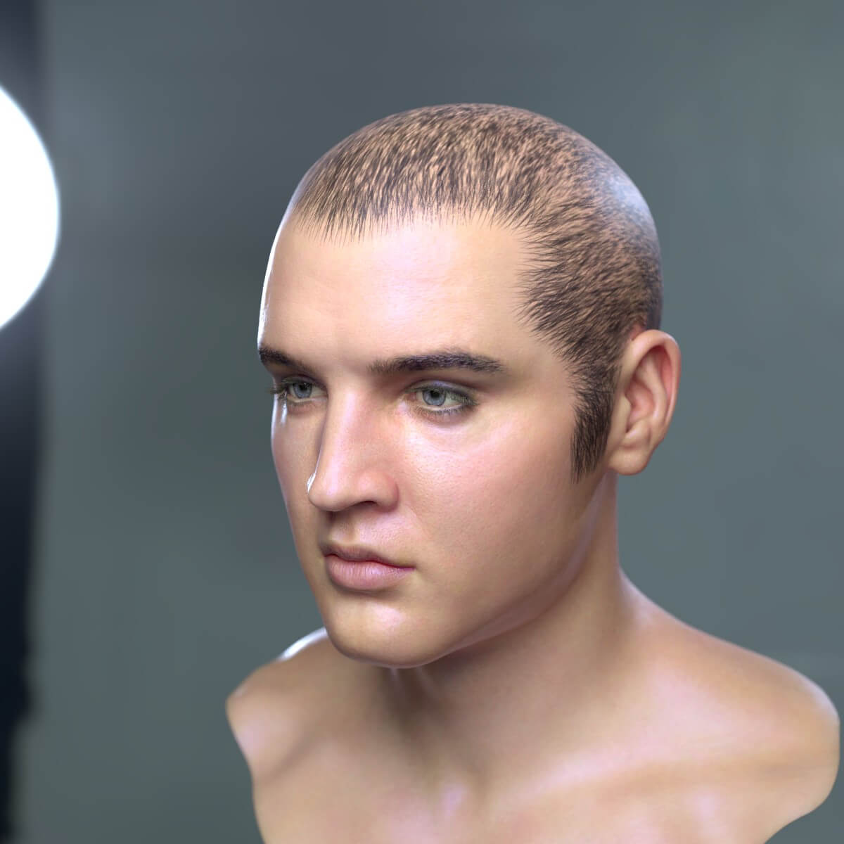 3D Model Elvis Presley Head by vefilanna