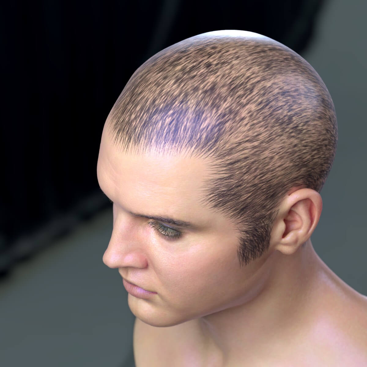 Elvis Presley Head - 3D Model by vefilanna