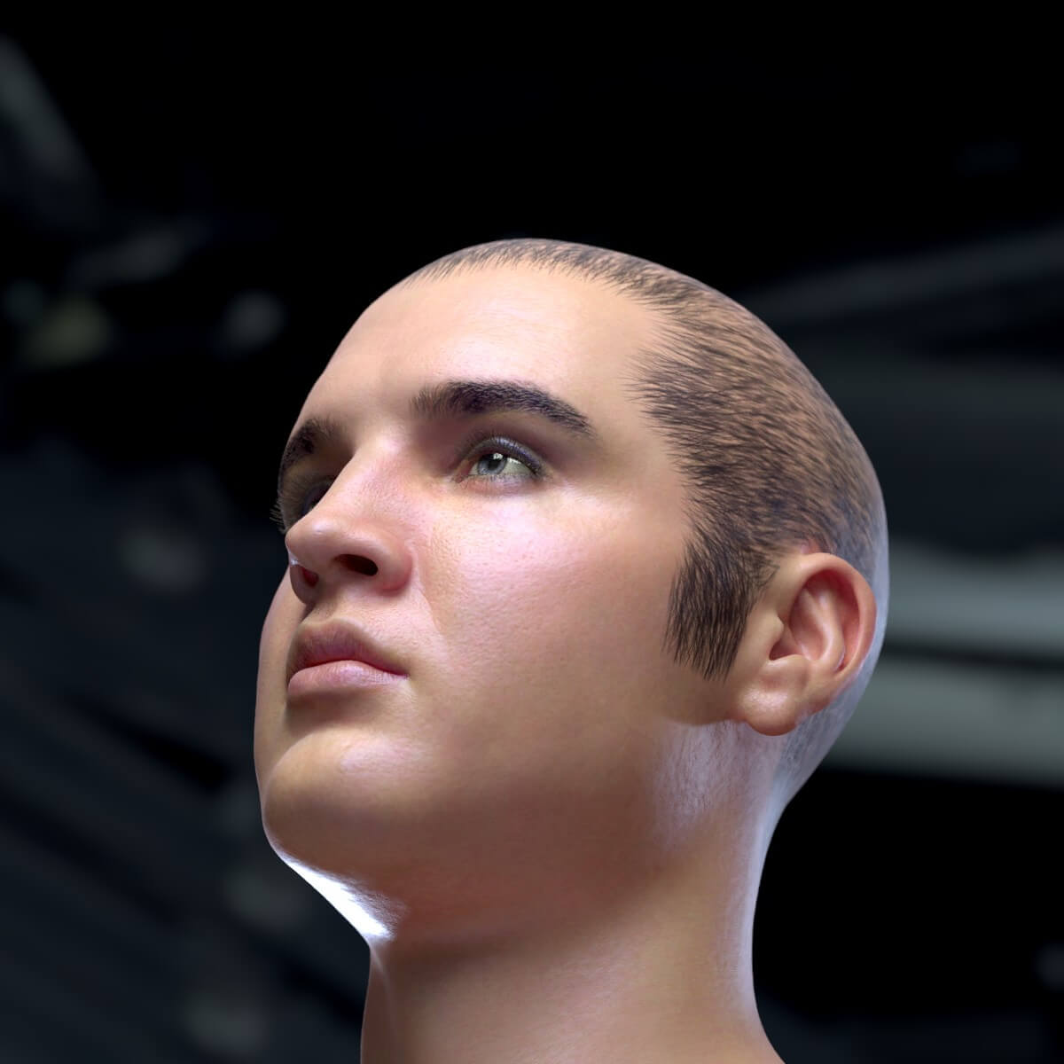 3D Model Elvis Presley Head by vefilanna