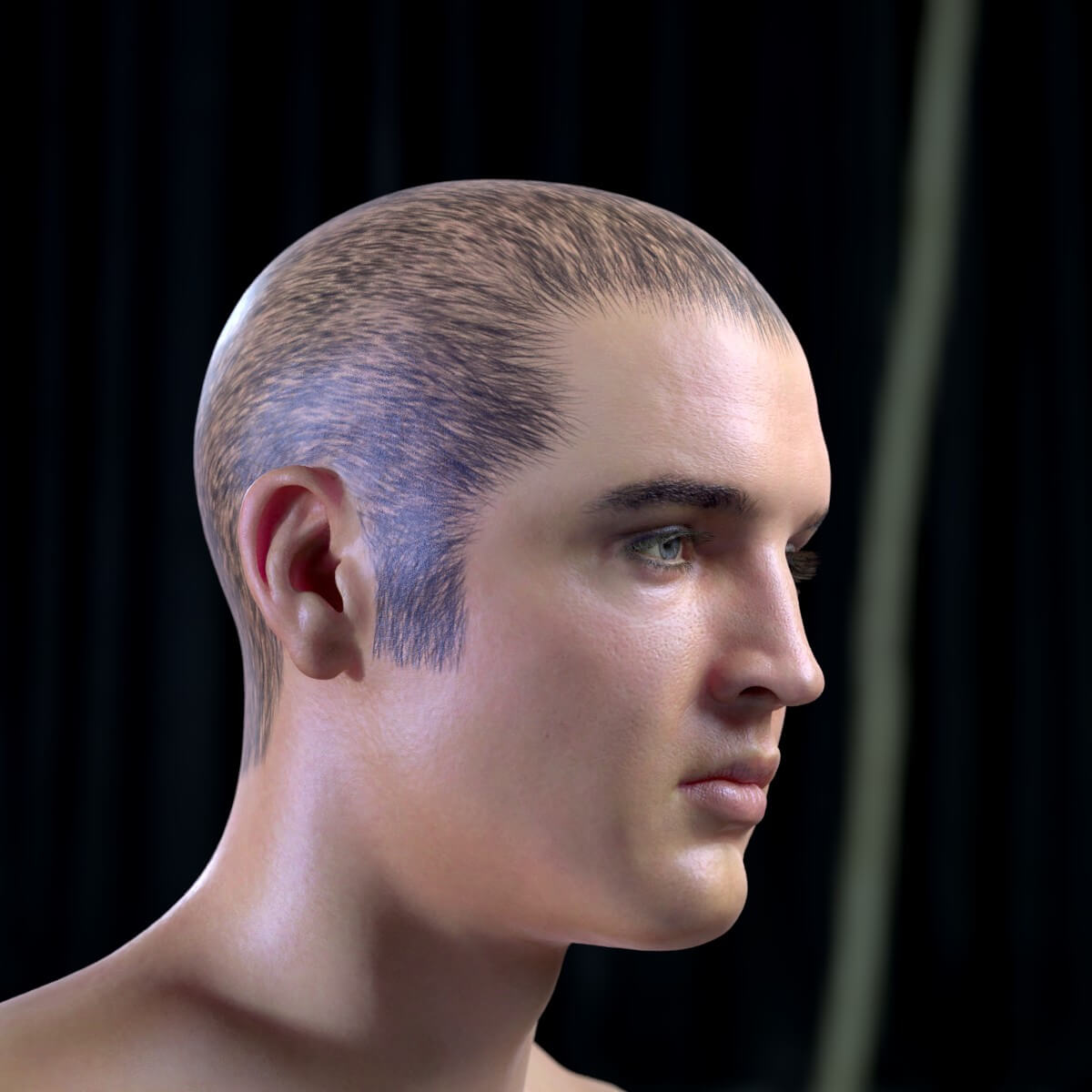 3D Model Elvis Presley Head by vefilanna