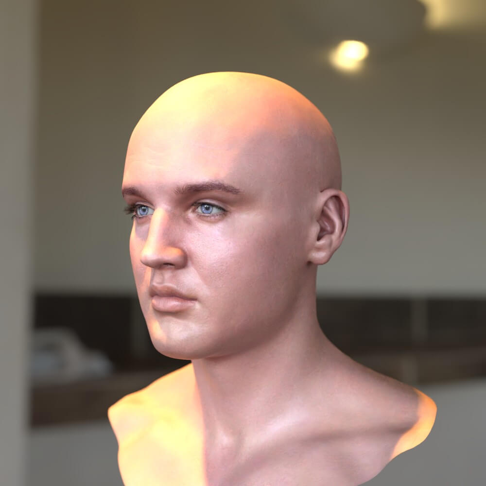 3D Model Elvis Presley Head by vefilanna