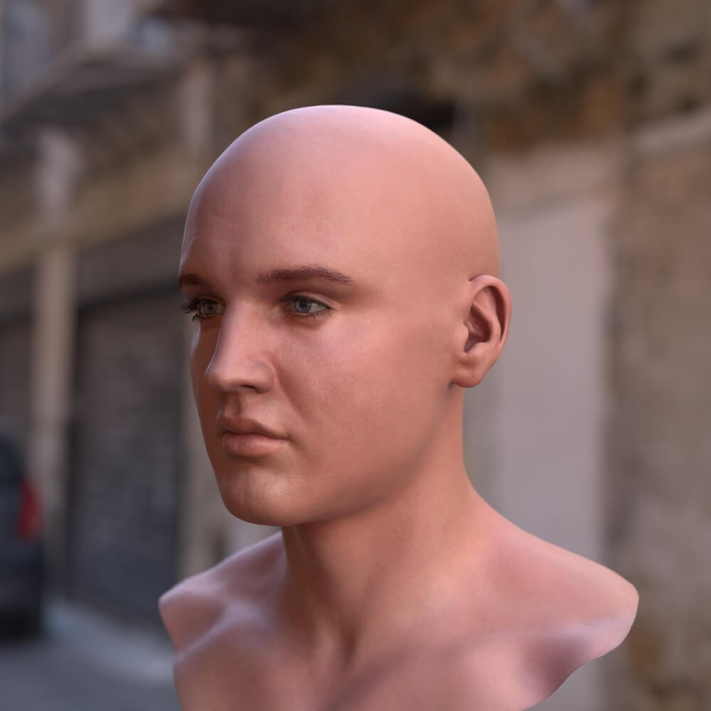 3D Model Elvis Presley Head by vefilanna