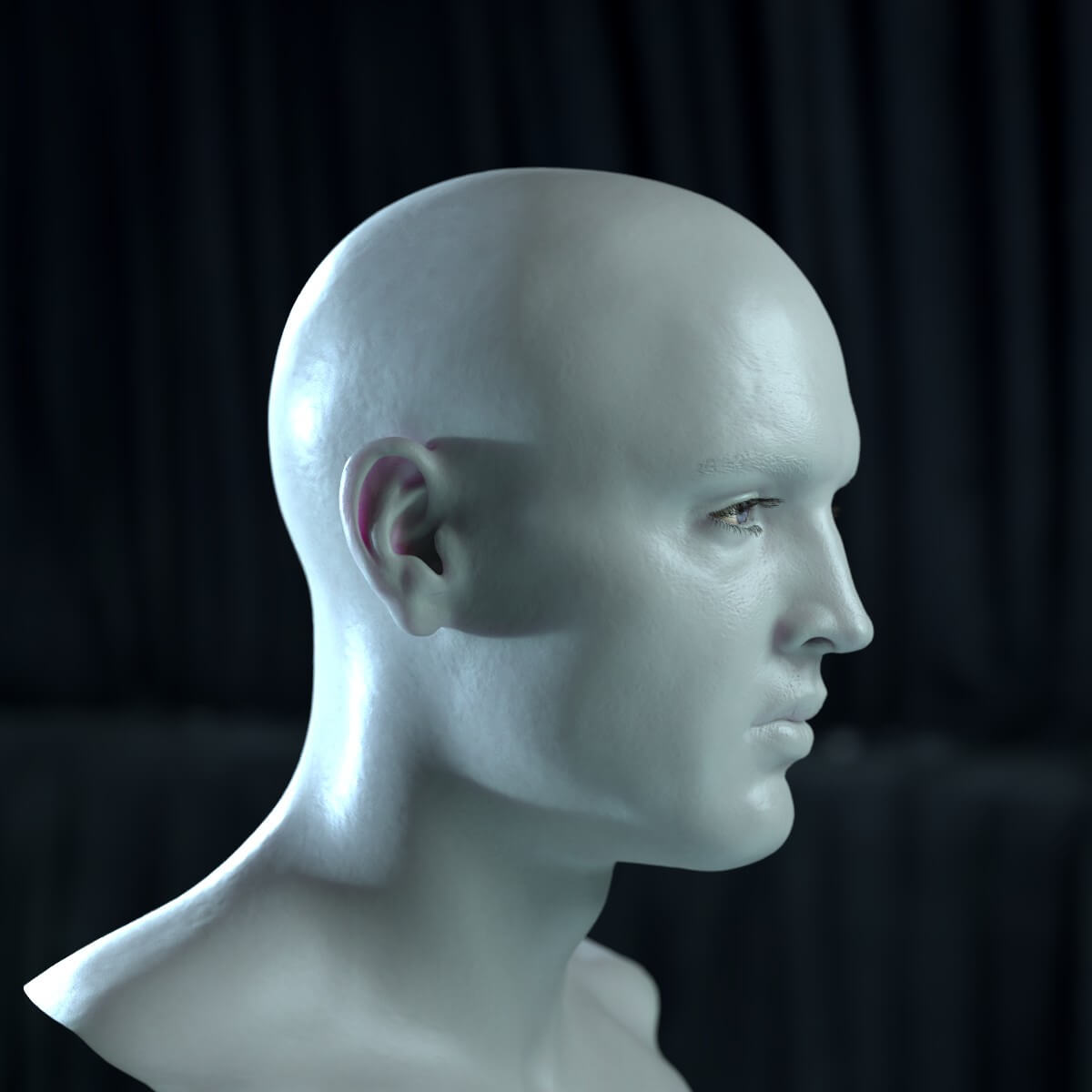 3D Model Elvis Presley Head by vefilanna