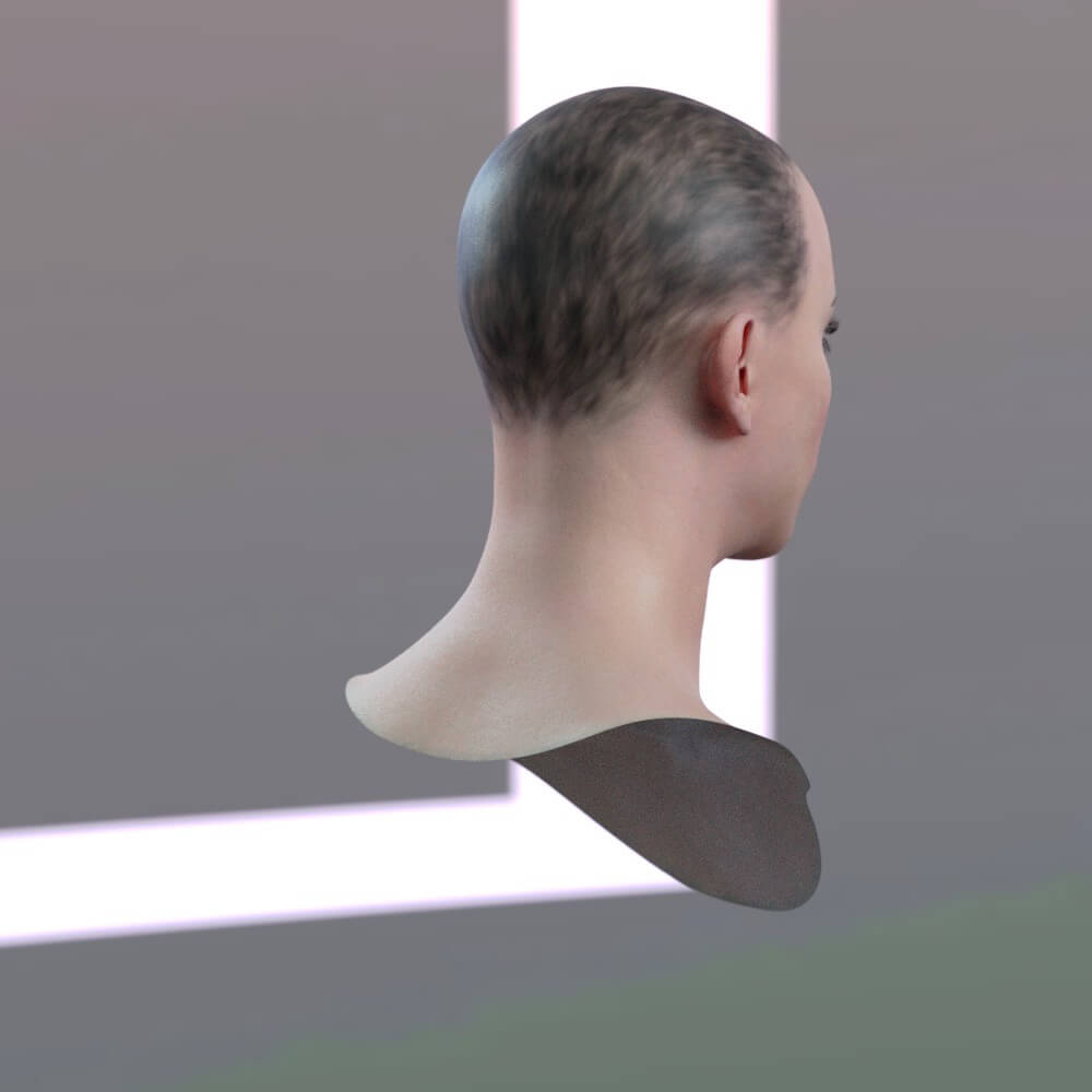 Eve Myles Head - 3D Model by vefilanna