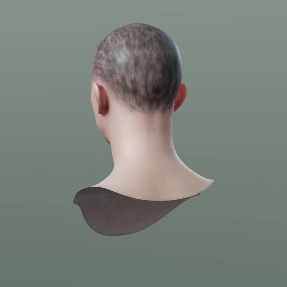 Eve Myles Head - 3D Model by vefilanna