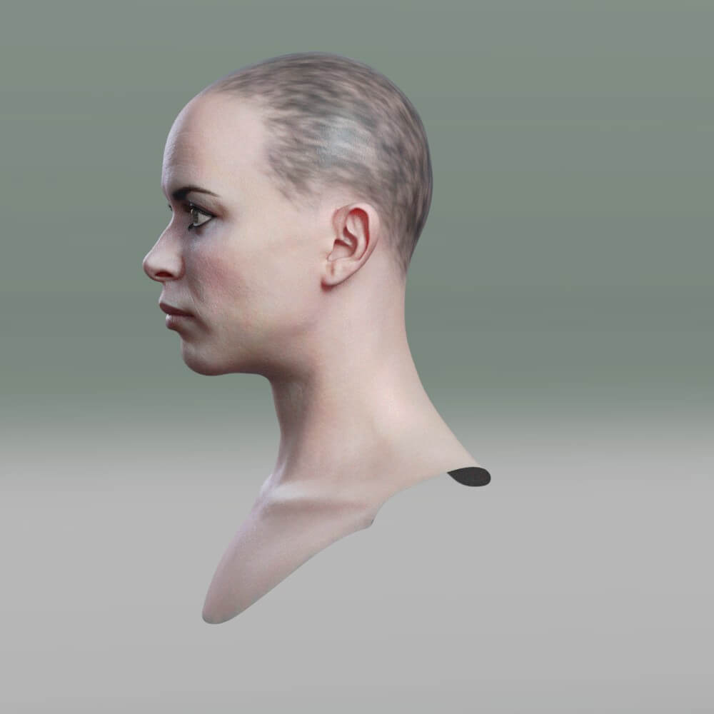 3D Model Eve Myles by vefilanna