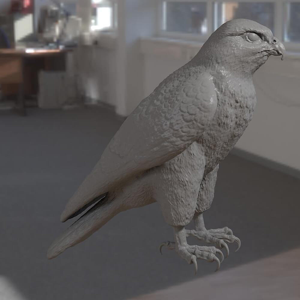 Falcon Bird Basic Shape - 3D Model by vefilanna