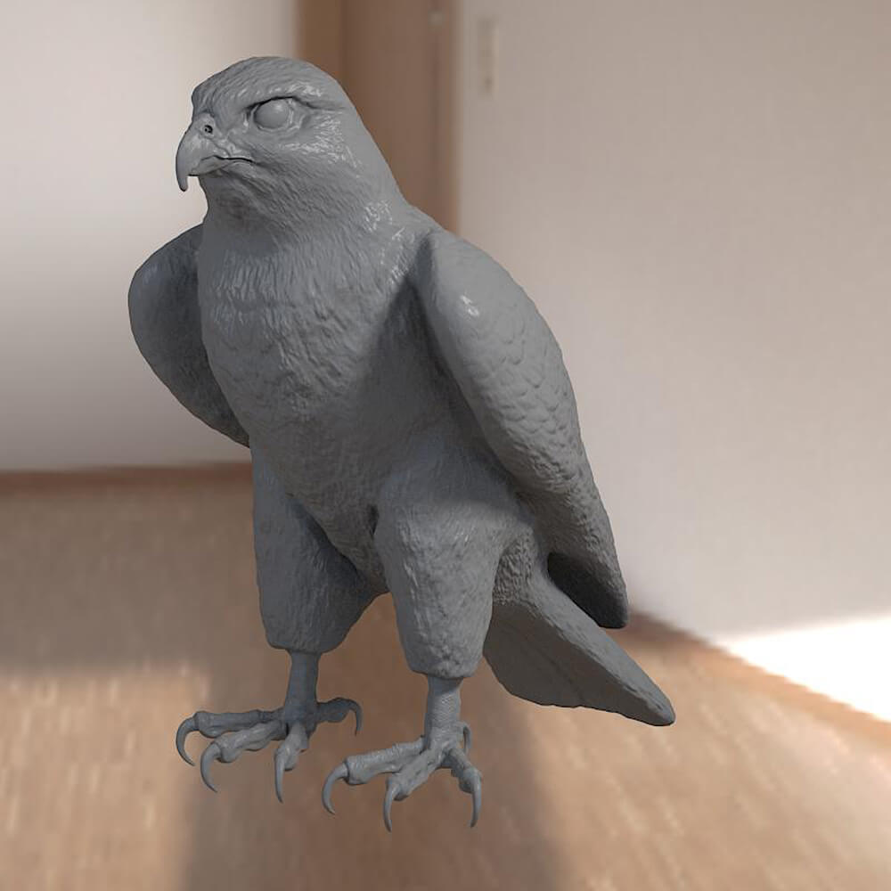 Falcon Bird Basic Shape - 3D Model by vefilanna