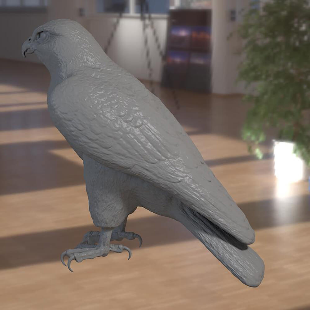 Falcon Bird Basic Shape - 3D Model by vefilanna