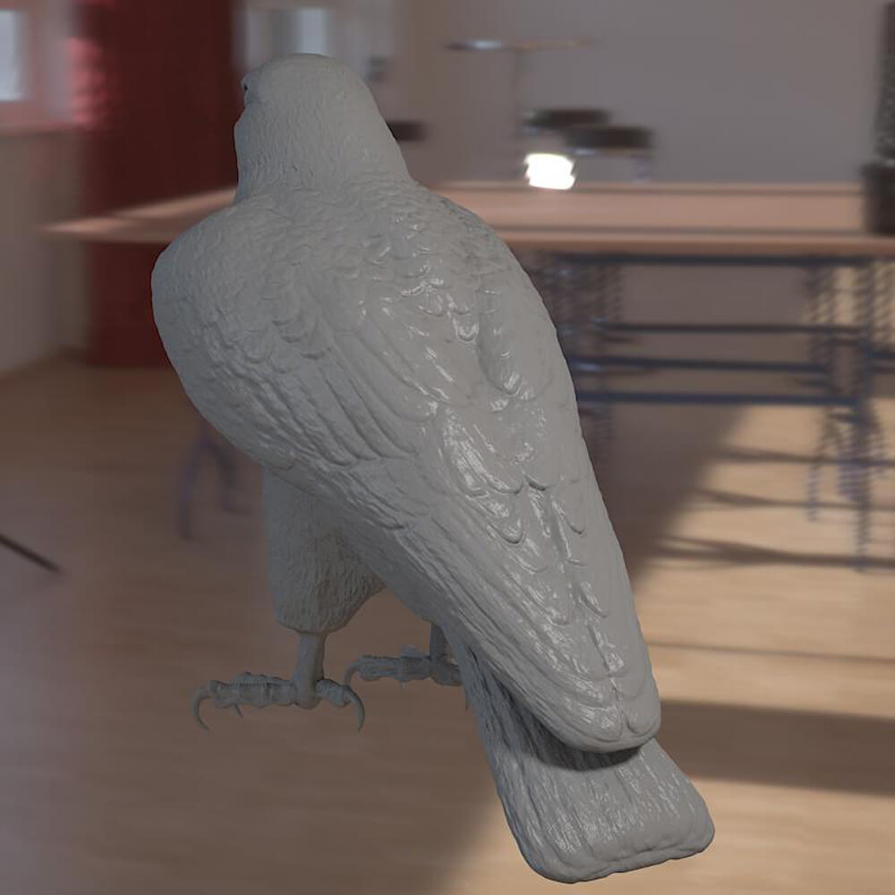 Falcon Bird Basic Shape - 3D Model by vefilanna
