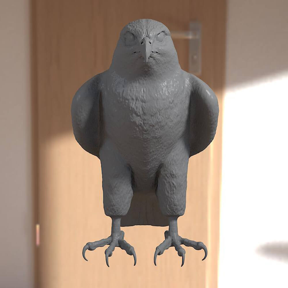 Falcon Bird Basic Shape - 3D Model by vefilanna