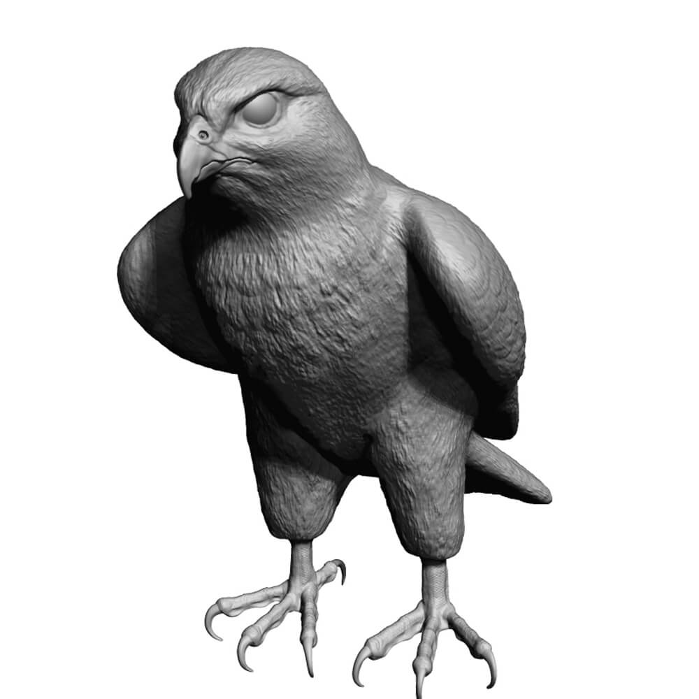 Falcon Bird Basic Shape - 3D Model by vefilanna