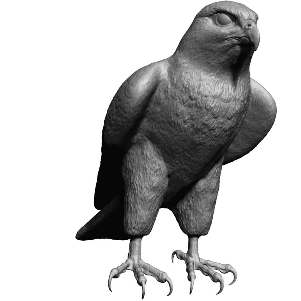 Falcon Bird Basic Shape - 3D Model by vefilanna