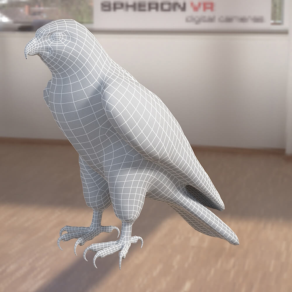 Falcon Bird Basic Shape - 3D Model by vefilanna