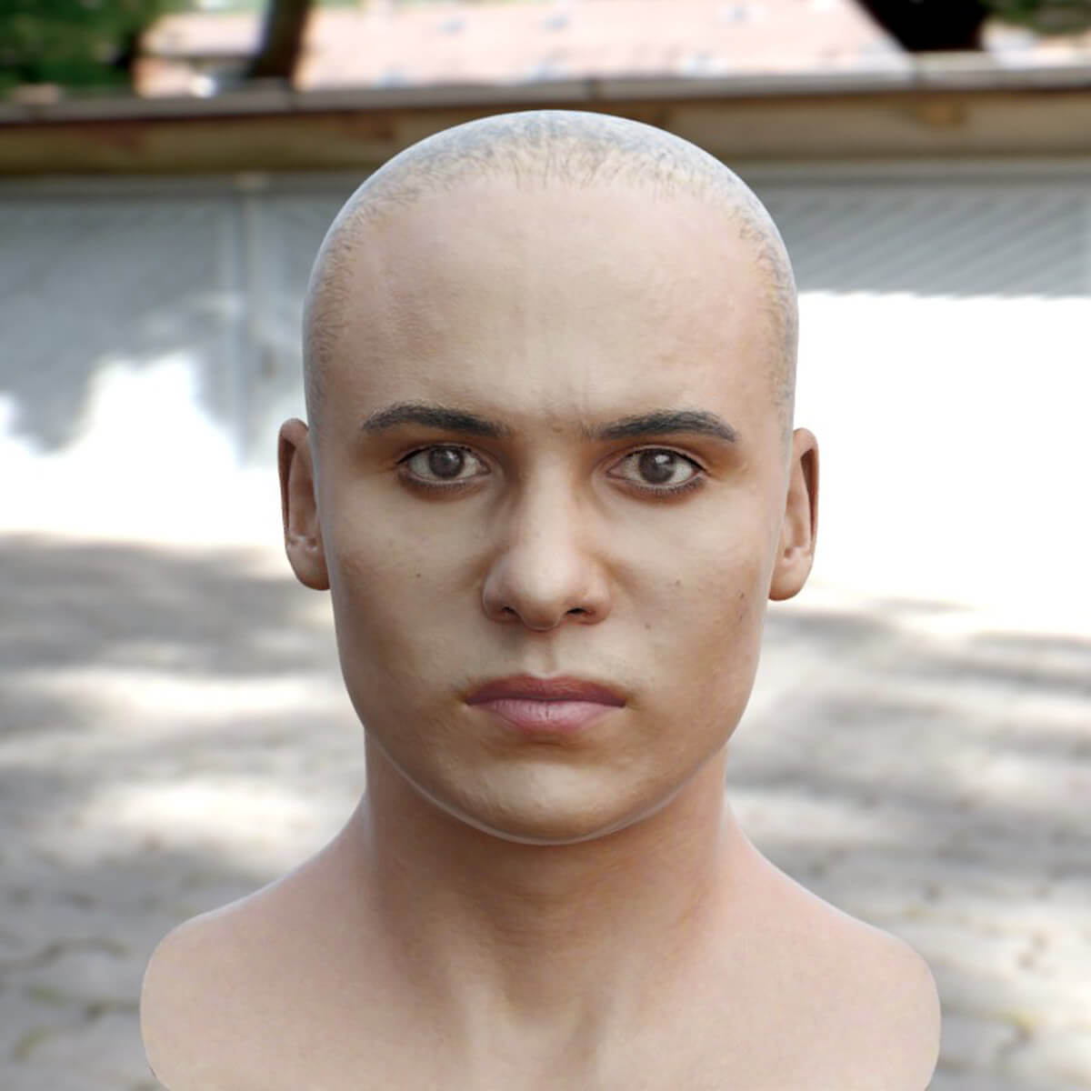 Frank Dillane Nick Clark Head - 3D Model by vefilanna