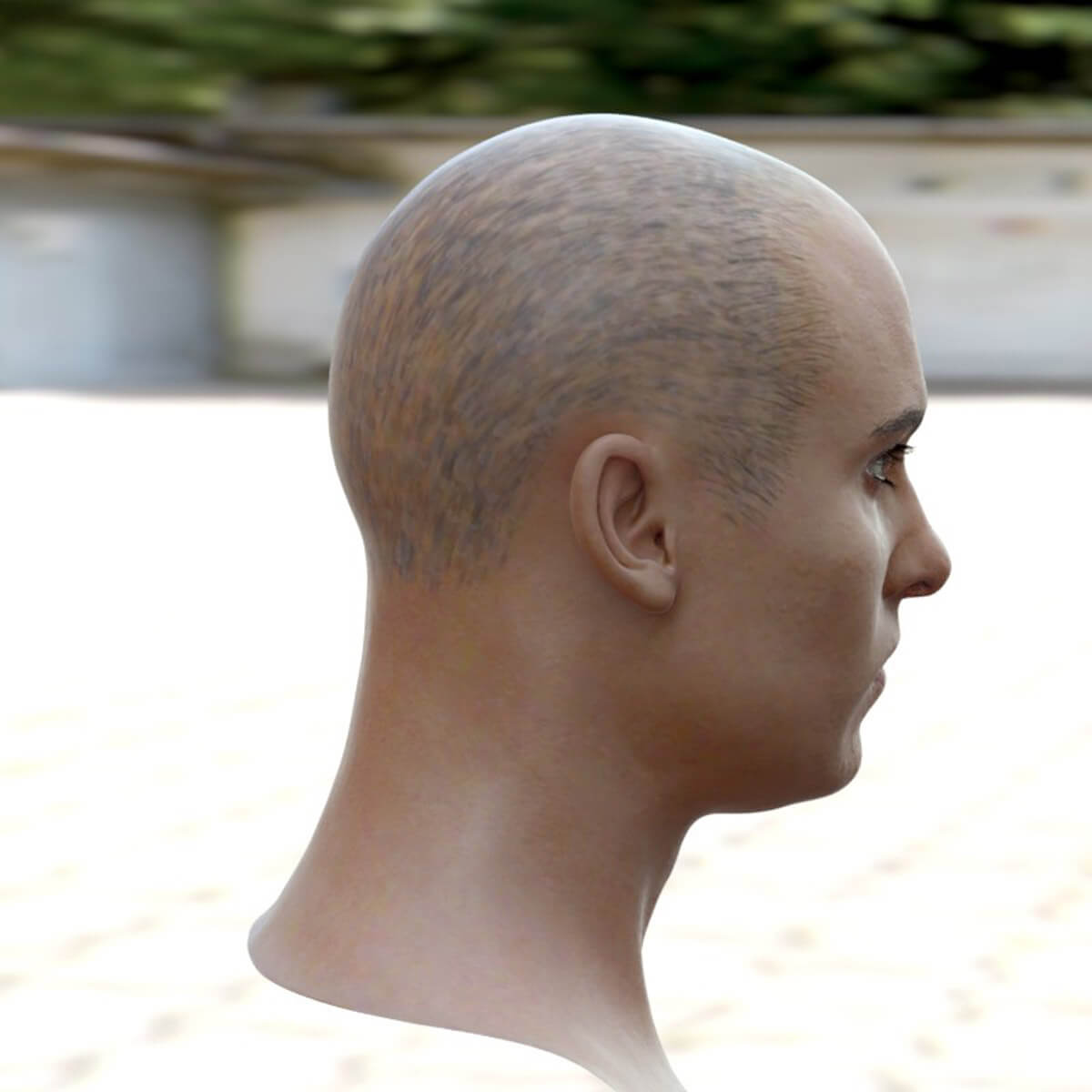 Frank Dillane Nick Clark Head - 3D Model by vefilanna