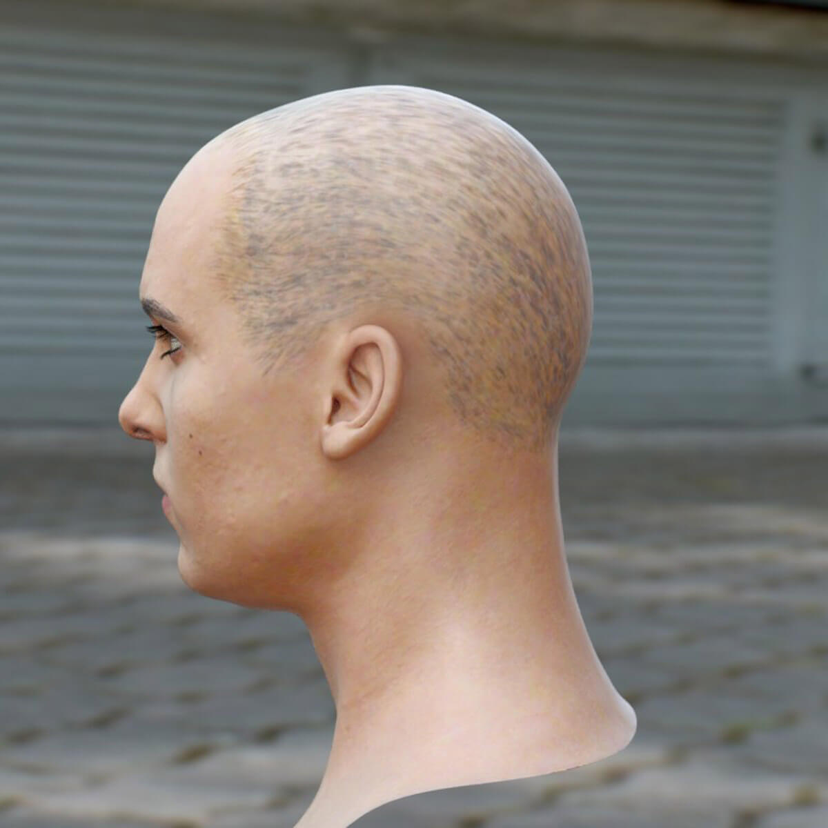 Frank Dillane Nick Clark Head - 3D Model by vefilanna