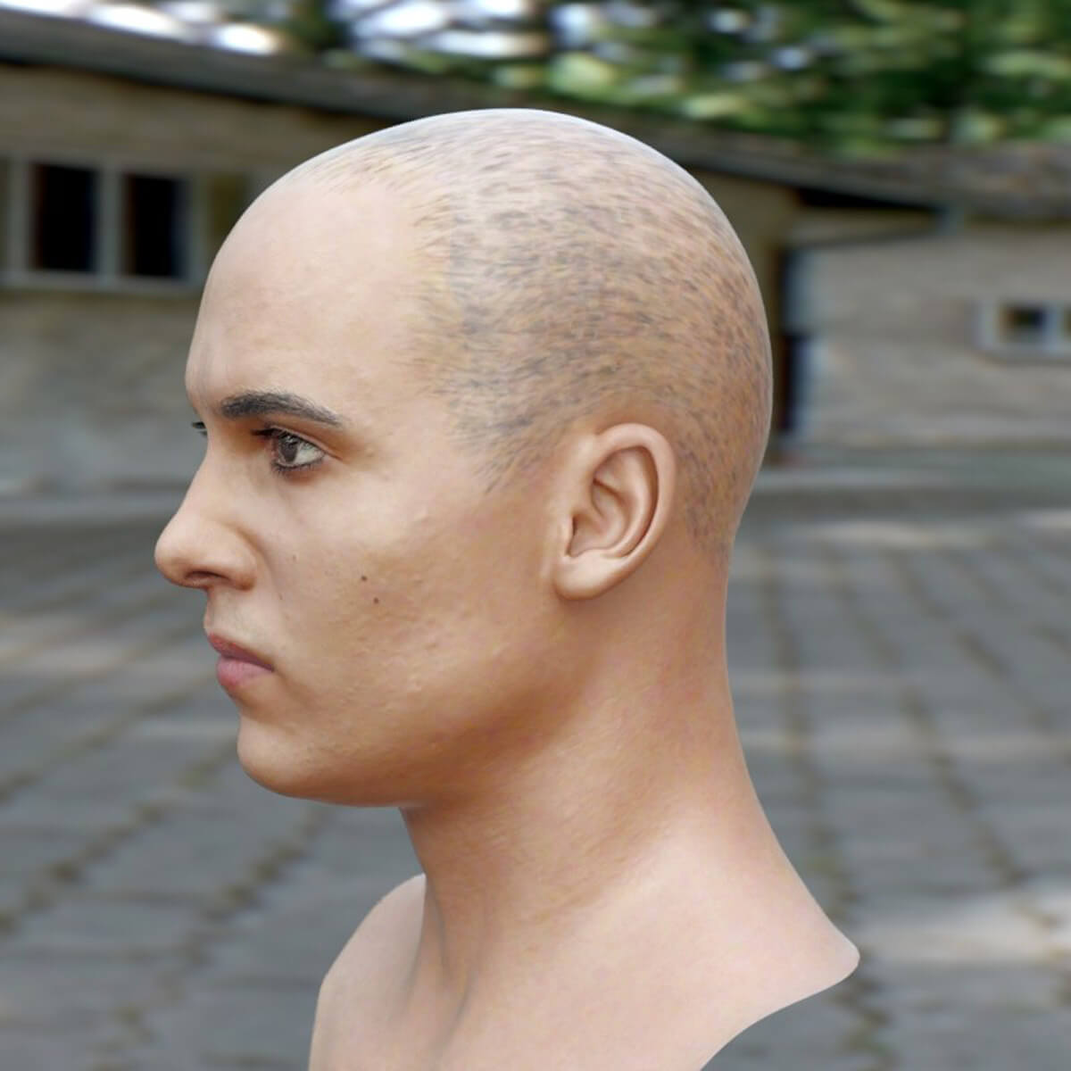 Frank Dillane Nick Clark Head - 3D Model by vefilanna