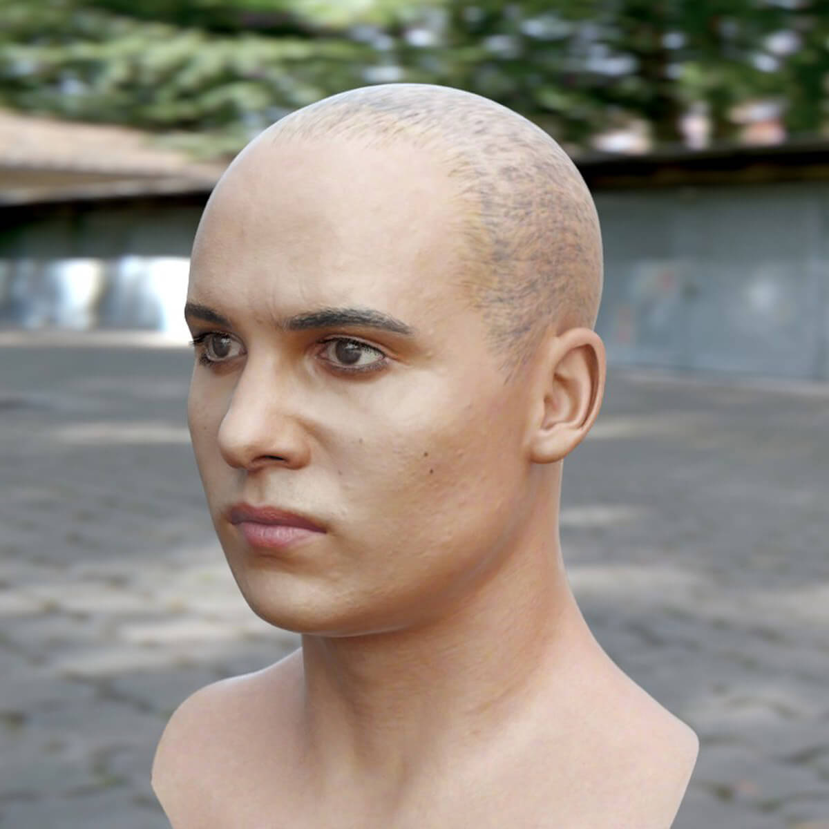 Frank Dillane Nick Clark Head - 3D Model by vefilanna