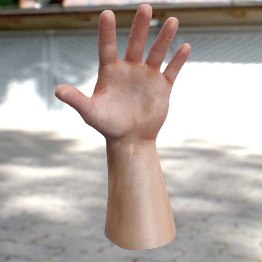3D Model Hand by vefilanna