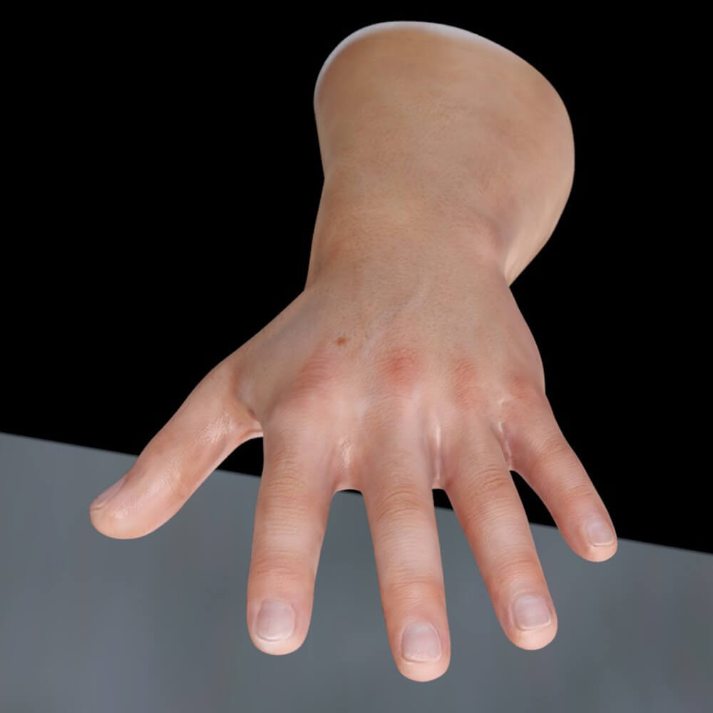Hand - 3D Model by vefilanna