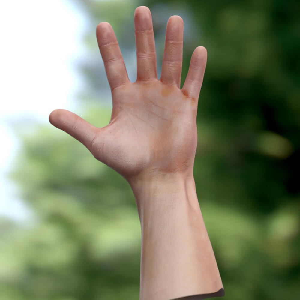 Hand - 3D Model by vefilanna