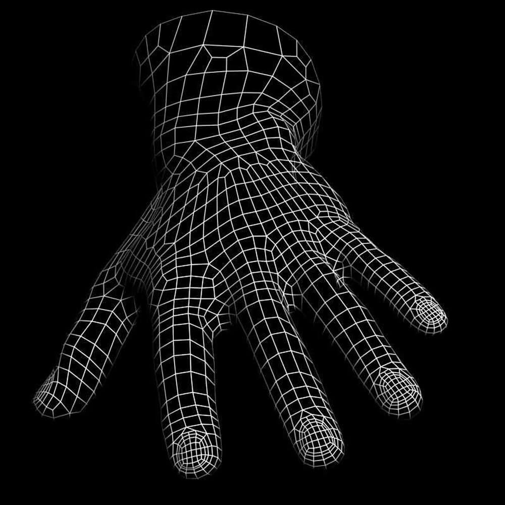 Hand - 3D Model by vefilanna