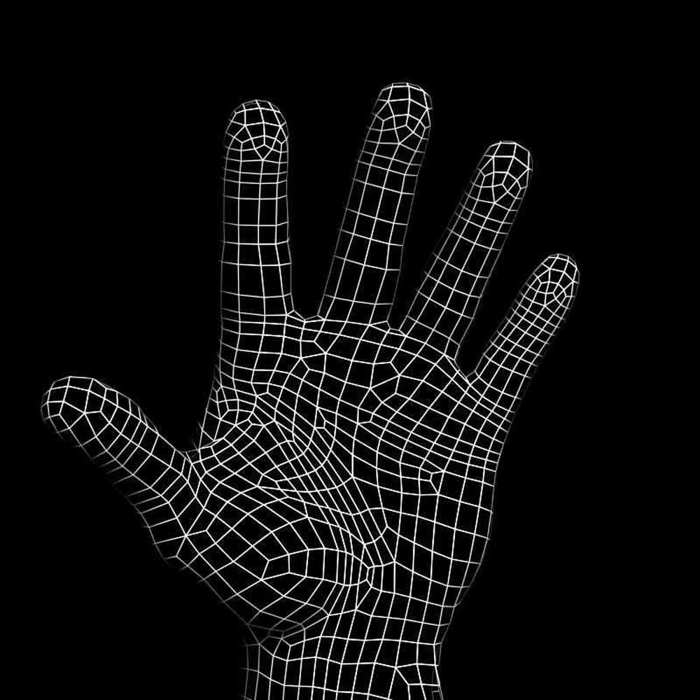 Hand - 3D Model by vefilanna