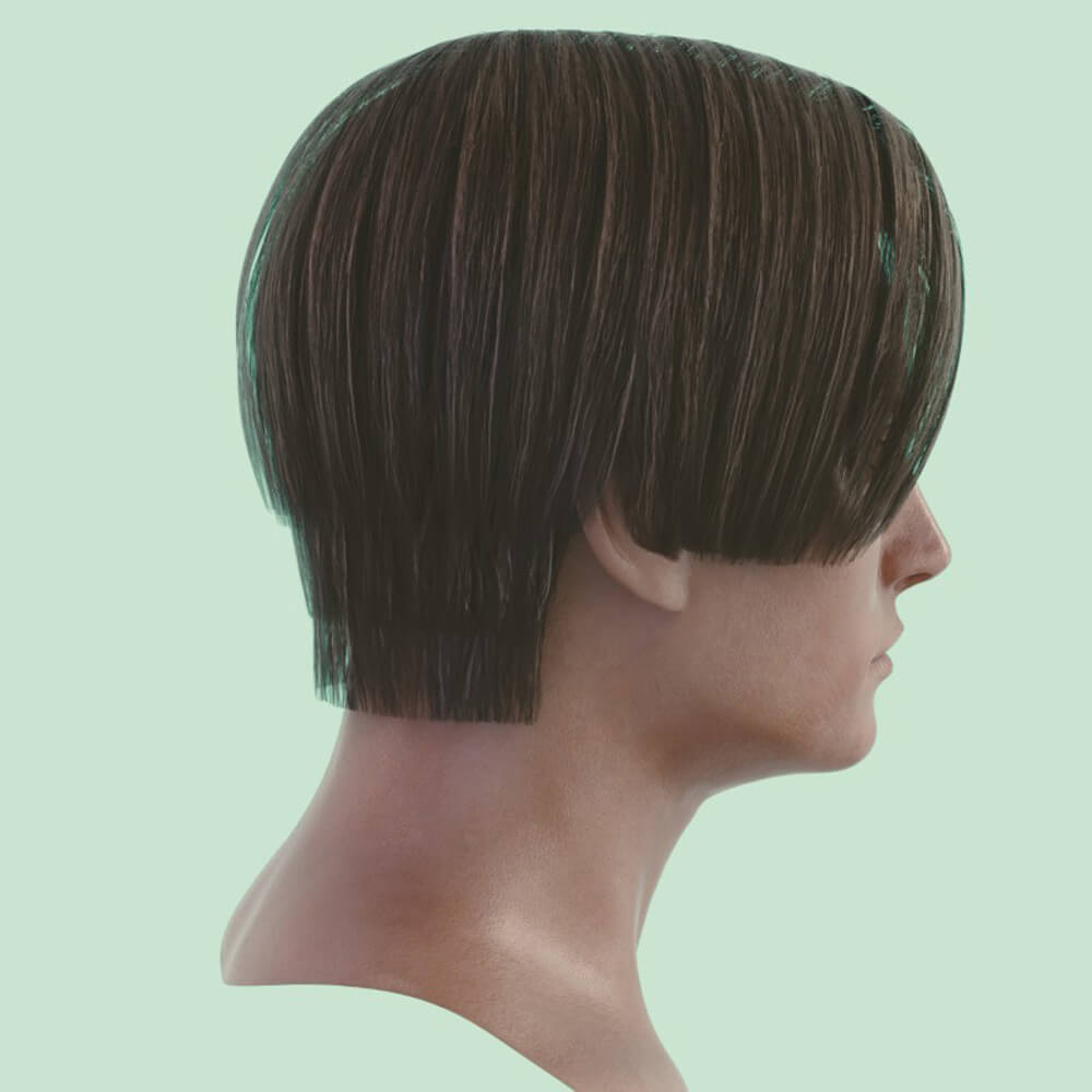 3D Model Human Head Male V6 by vefilanna