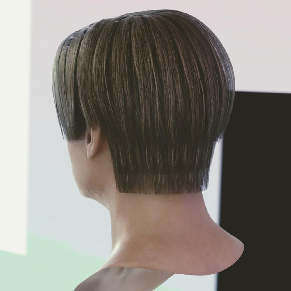 3D Model Human Head Male V6 by vefilanna