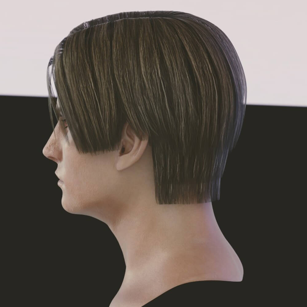 3D Model Human Head Male V6 by vefilanna