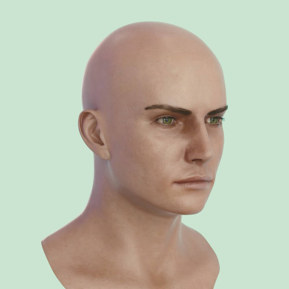 Human Head Male V6 - 3D Model by vefilanna