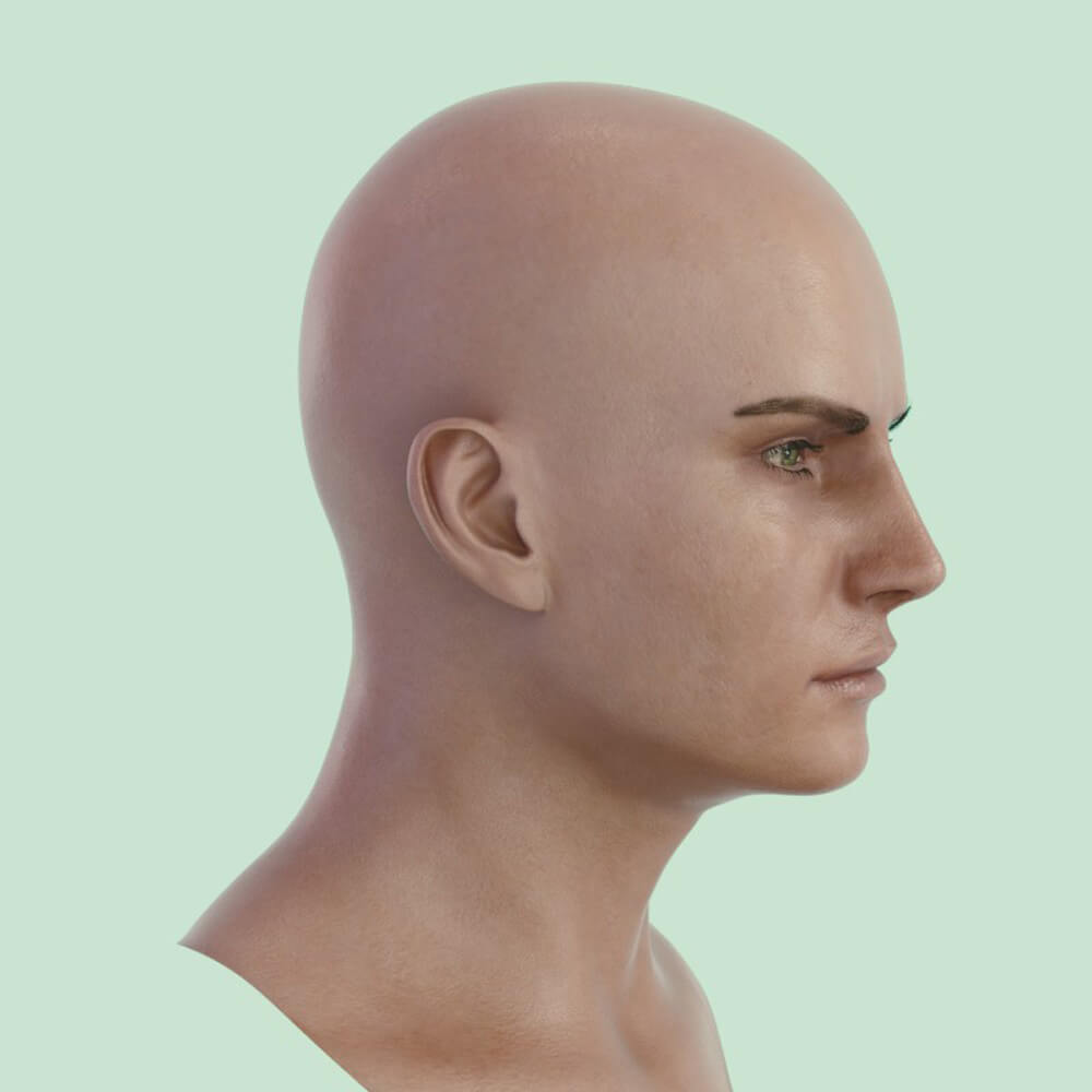 3D Model Human Head Male V6 by vefilanna