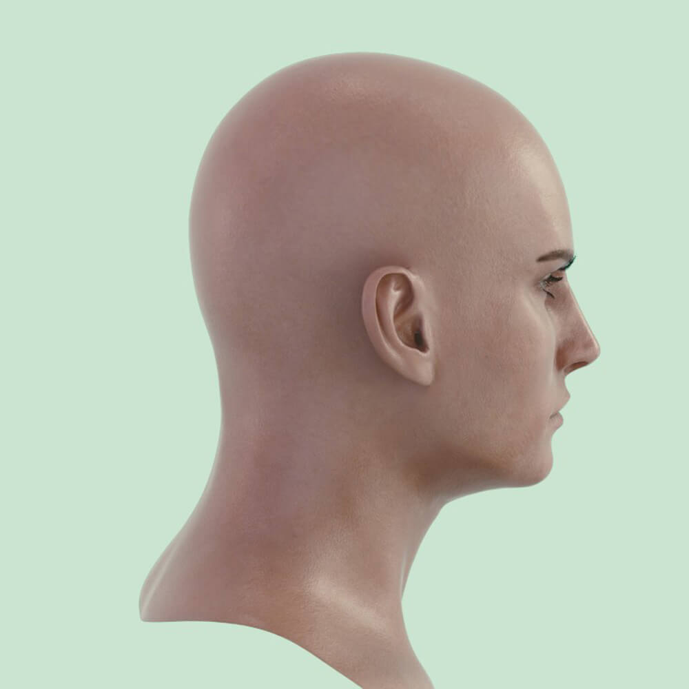 3D Model Human Head Male V6 by vefilanna