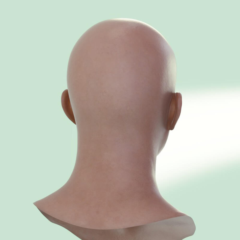 3D Model Human Head Male V6 by vefilanna